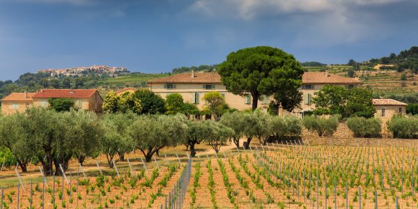 Domaines Ott – Épice