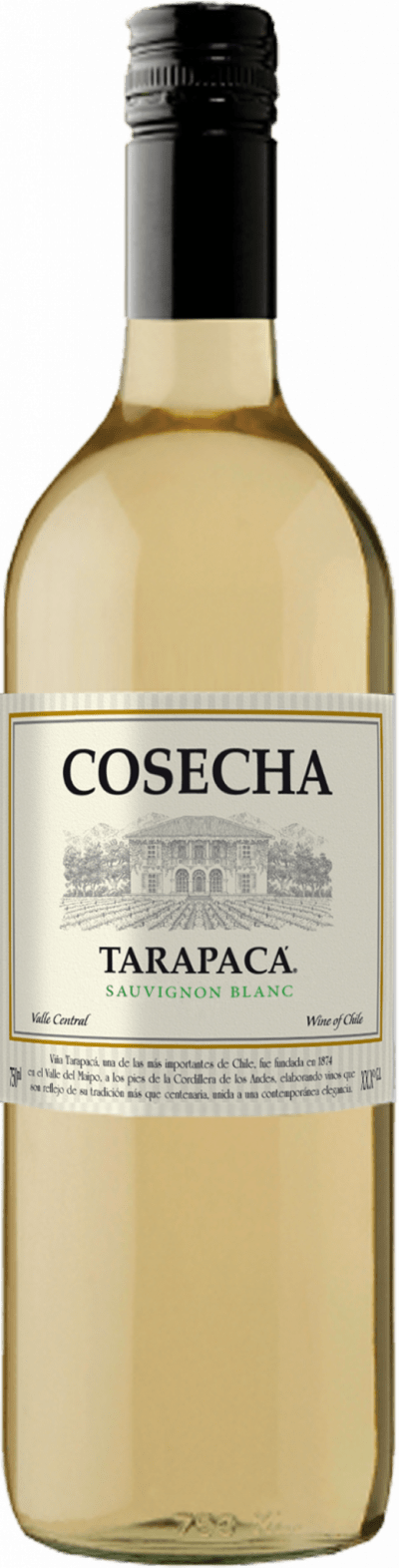 Cosecha Tarapacá Sauvignon Blanc 2023 – Épice